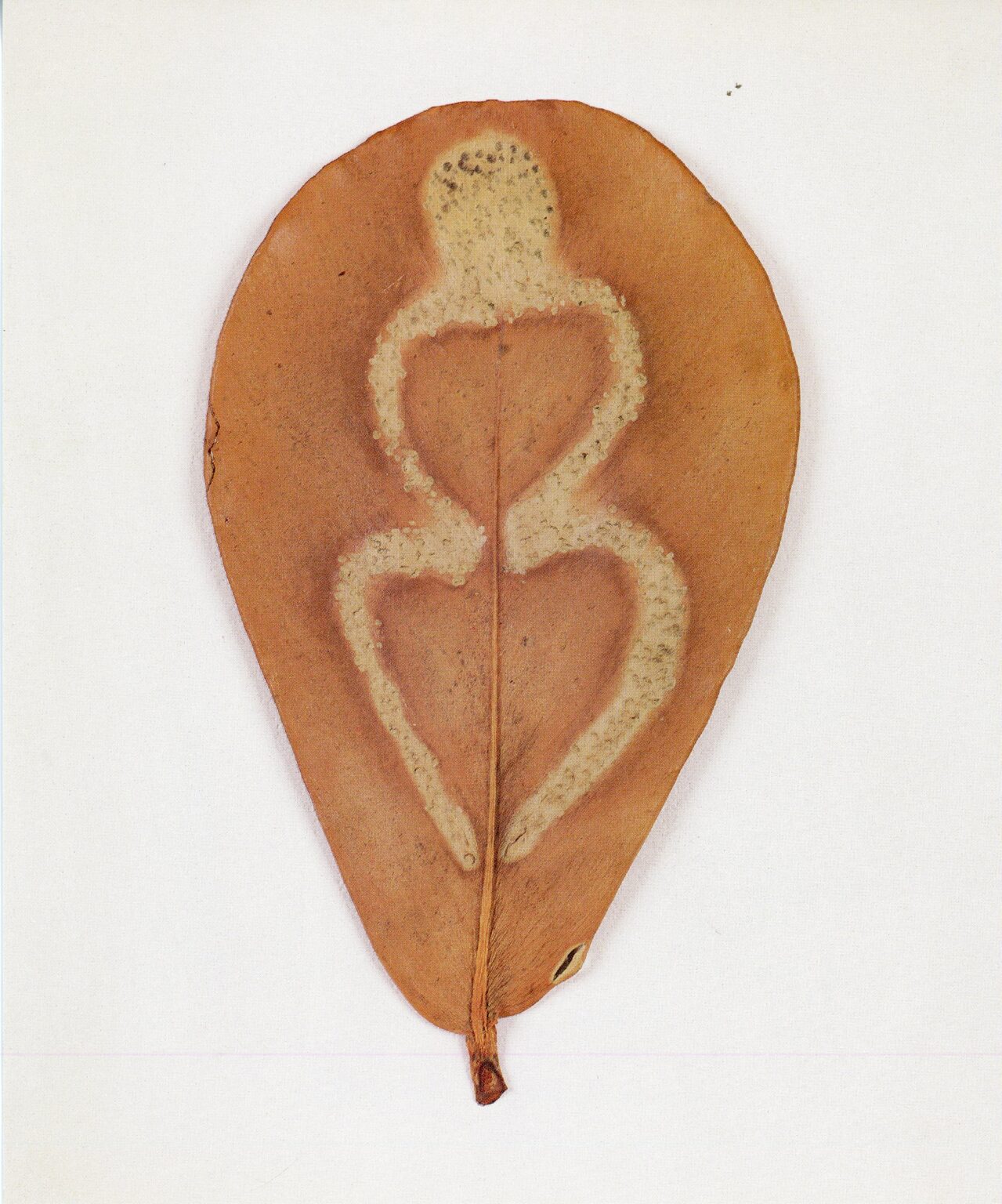 Gallery 98 | Ana Mendieta, Rupestrian Images / Leaf Drawings, Carlo ...