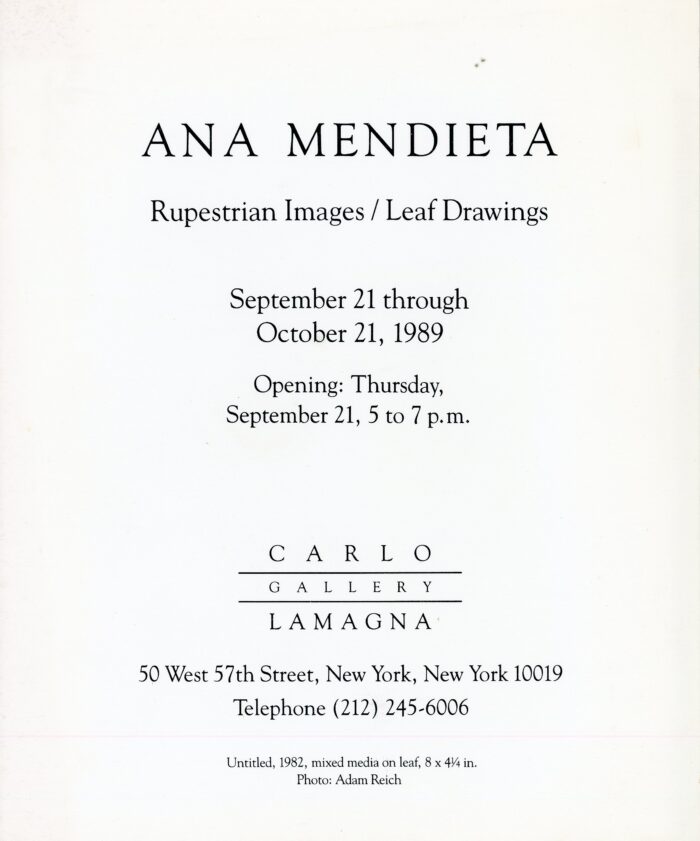 Gallery 98 | Ana Mendieta, Rupestrian Images / Leaf Drawings, Carlo ...