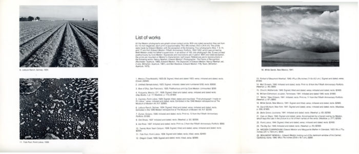 Gallery 98 | Edward Weston, Photographs from the Collection of Beaumont ...