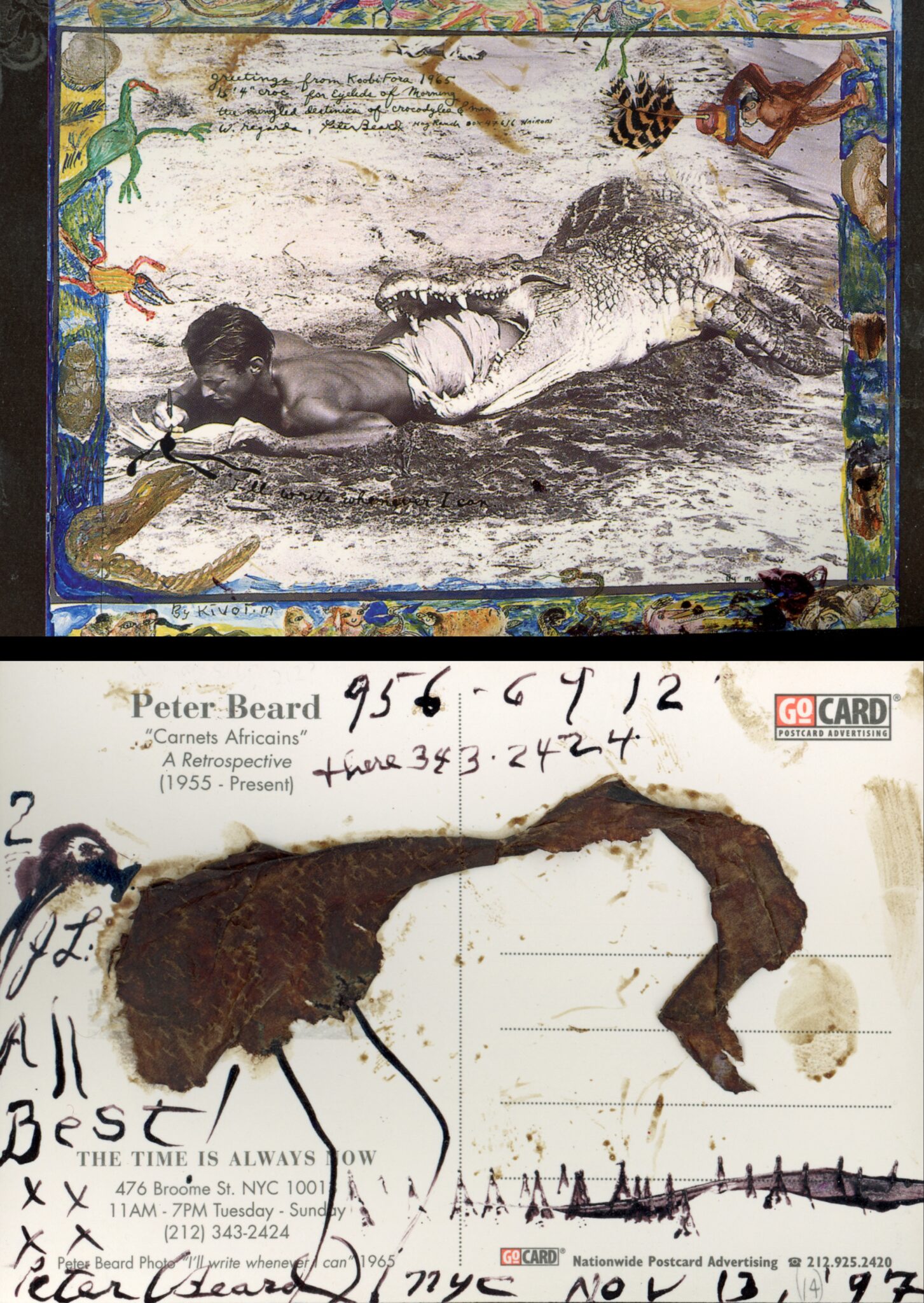 Gallery 98 | Peter Beard