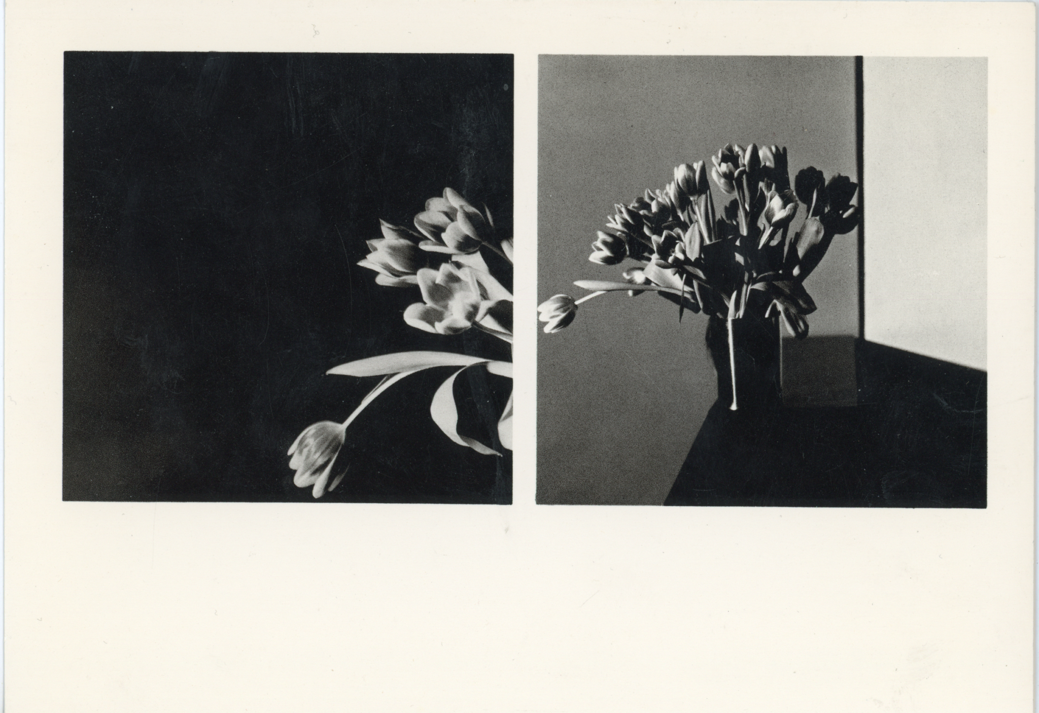 Gallery 98 | Robert Mapplethorpe, Right From The Start: Early Polaroids ...